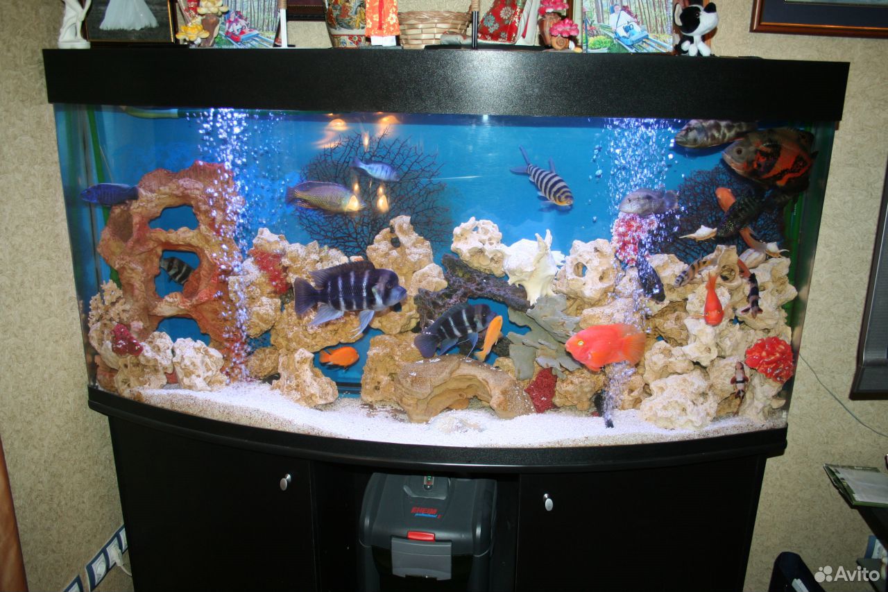 Продам аквариум