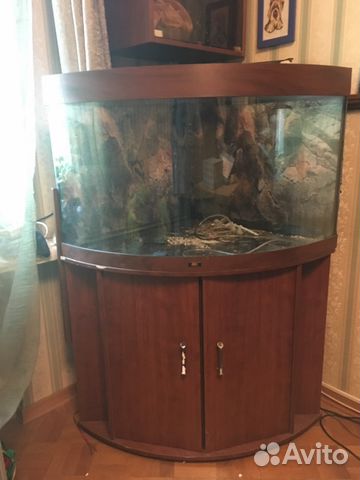 Аквариум и необходимое