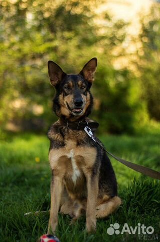 Малыш в хорошие руки