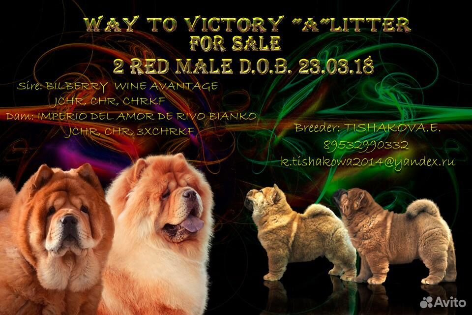 Красивые и безупречные