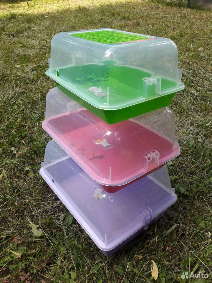 Террариум / Дюна /Контейнер