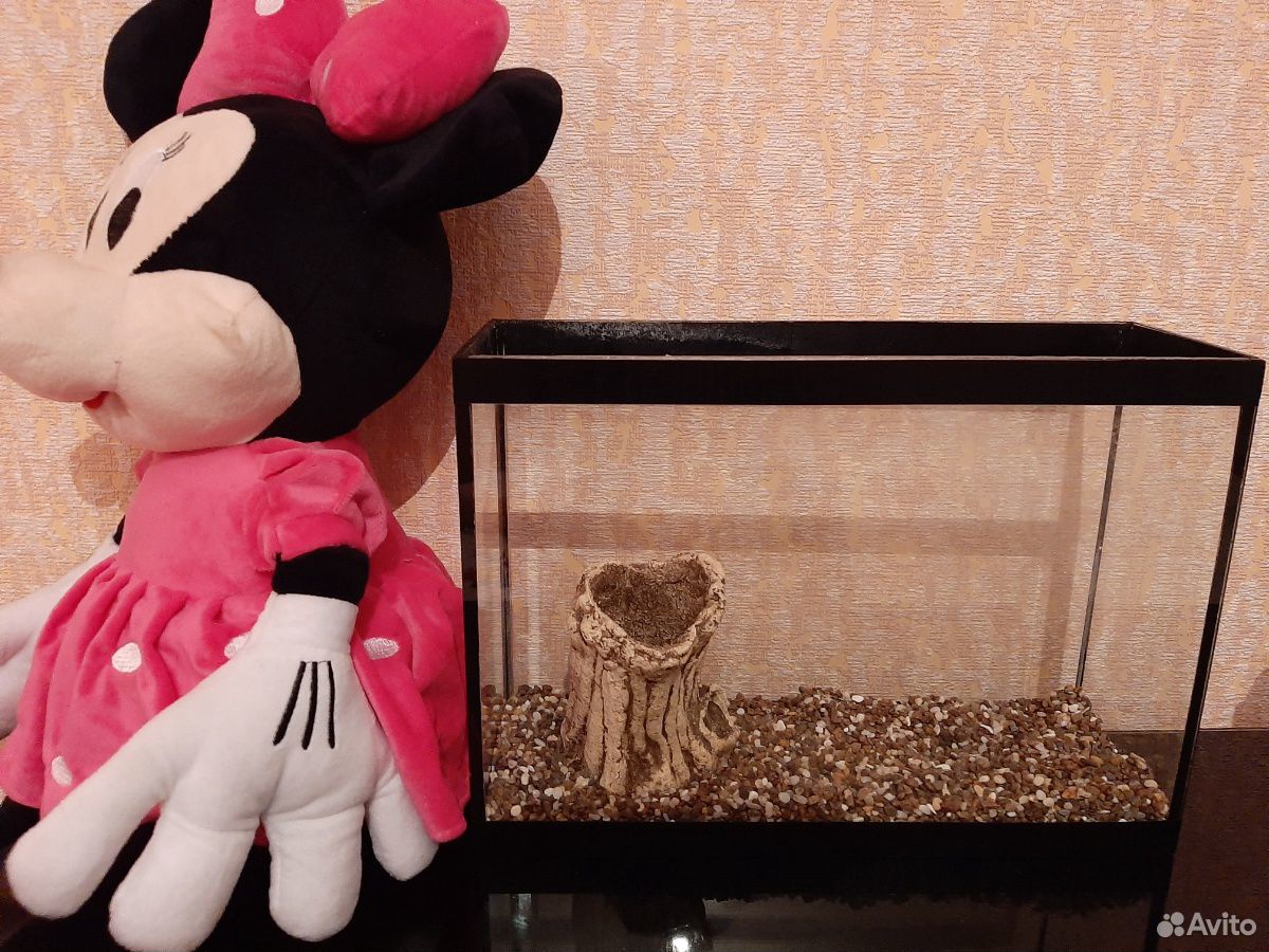 Продам Аквариум 10л