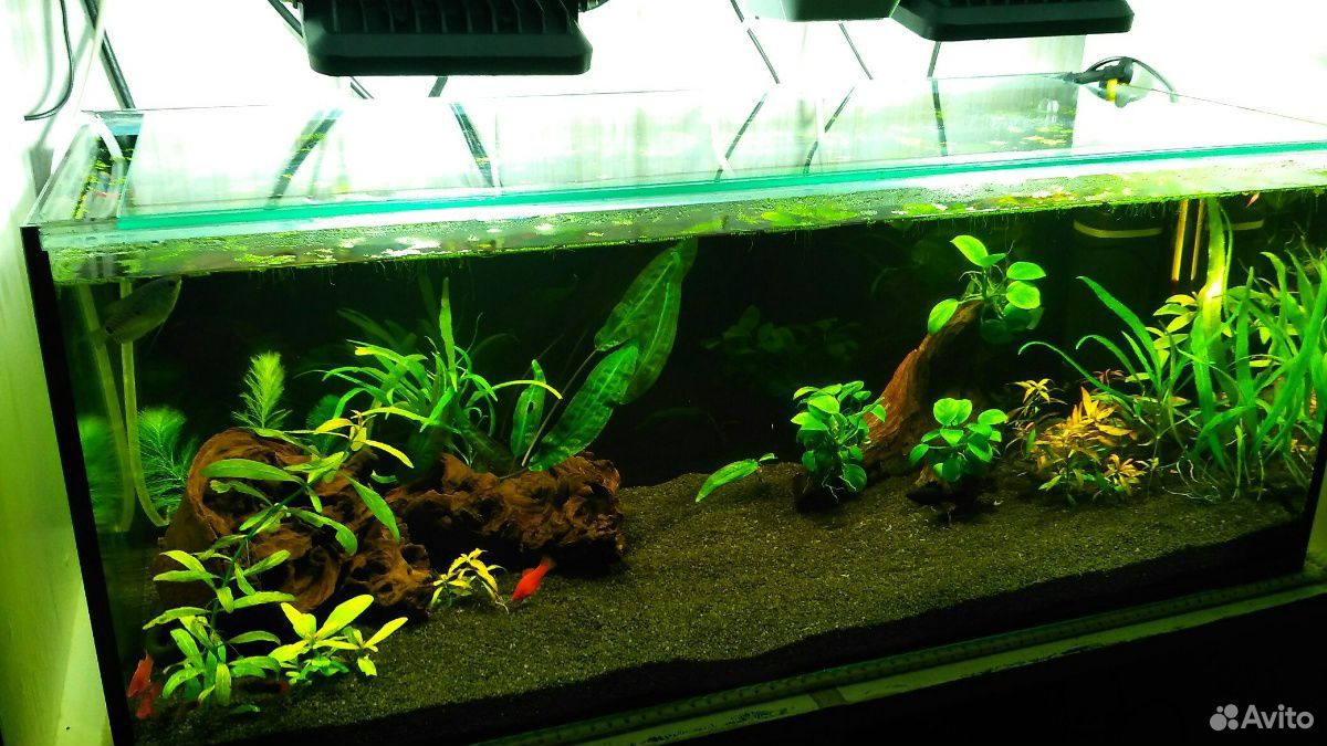 Аквариум с оборудованием