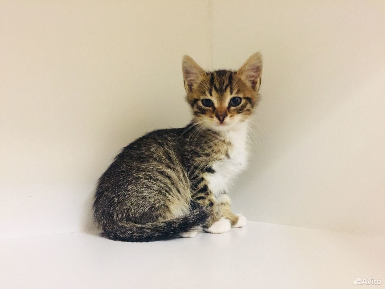 Мальчишки 3 мес