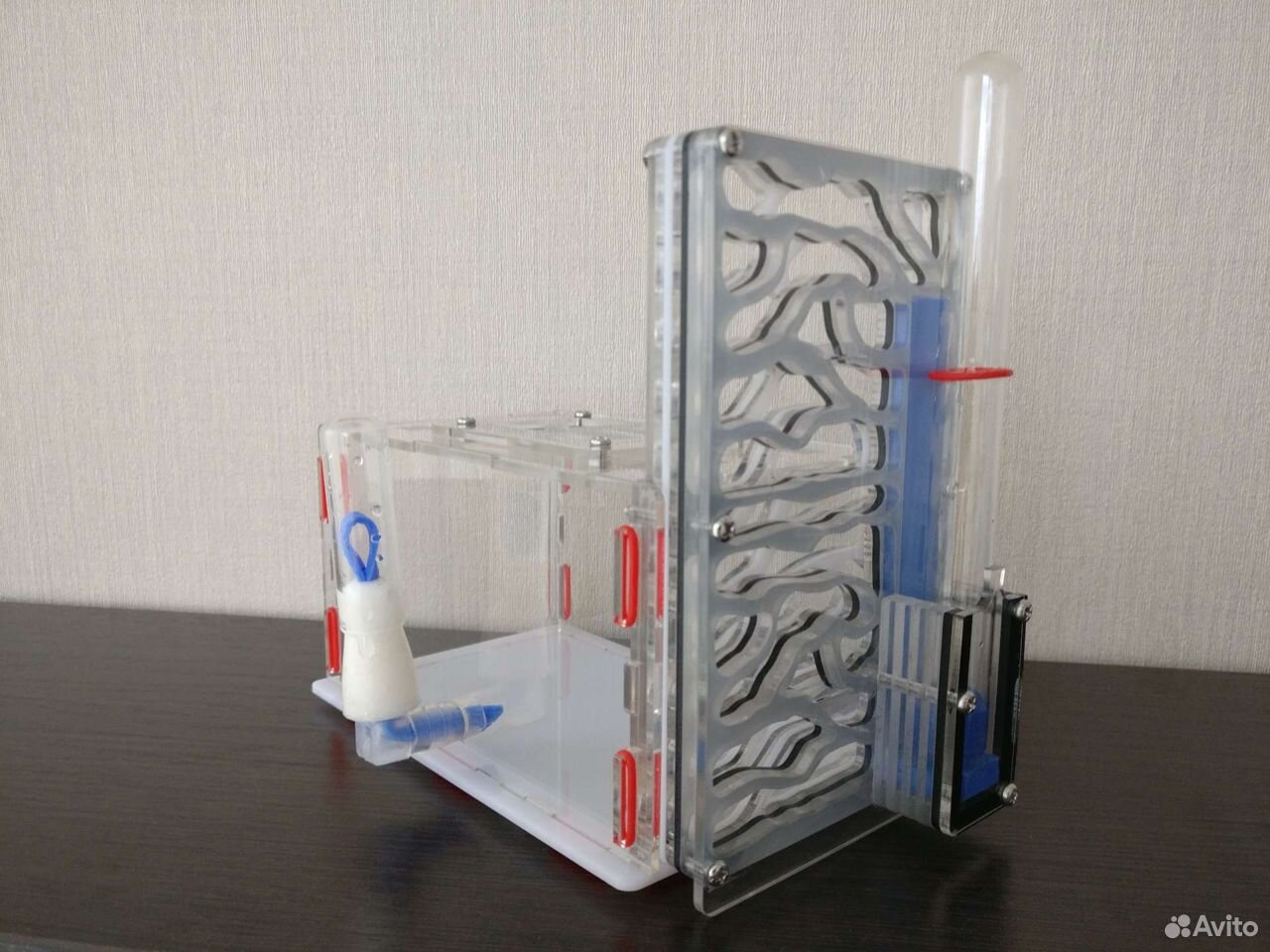 Муравьиная ферма (формикарий)