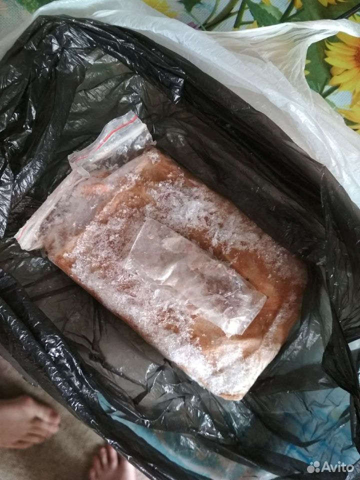 Коловрадка мороженая для рыбок