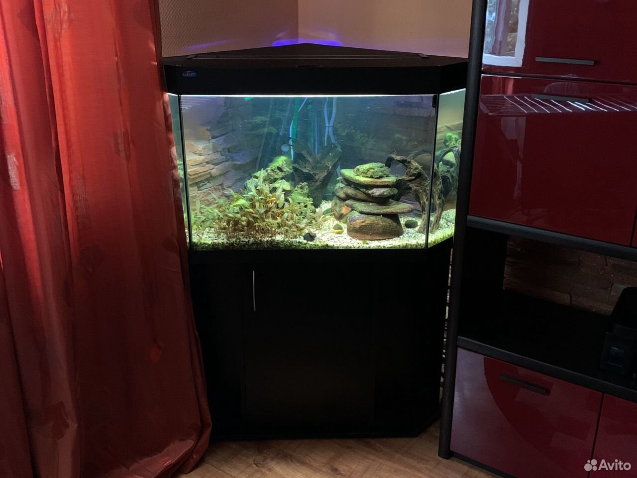 Аквариум