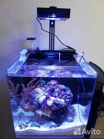 Морской Мквариум