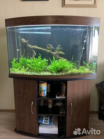 Аквариум Биодизайн Панорама 250 литров