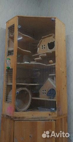 Ветрина с шиншиллой