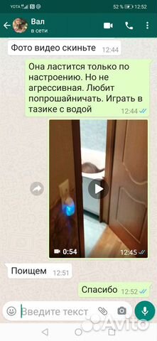 Отдадим в добрые руки