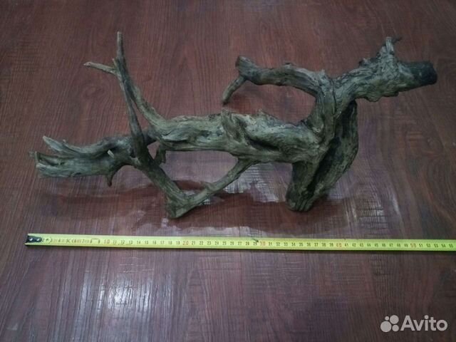 Коряга в террариум