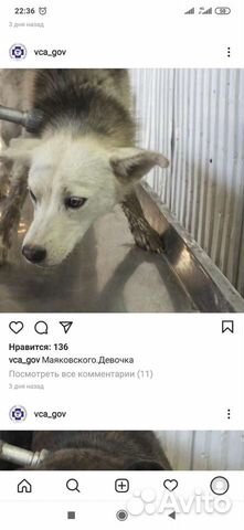 SOS,вопрос жизни и смерти