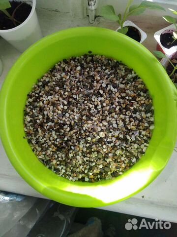 Камушки для оквариума