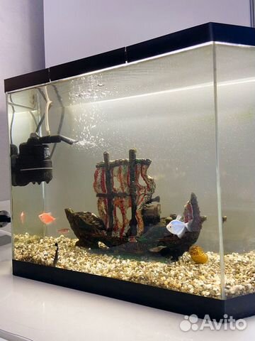 Аквариум