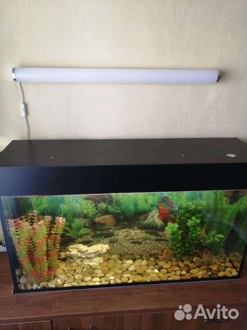 Аквариум