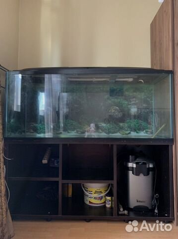 Аквариум