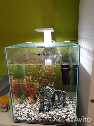 Аквариум с подсветкой и всем наполнением