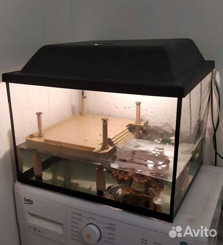 Черепаха с аквариумом