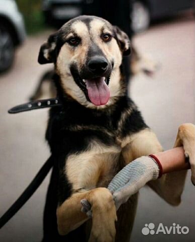 Необыкновенное Чудо