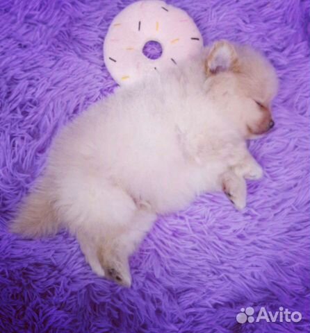 Минюшка малыш медвежонок