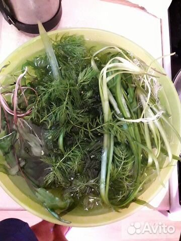 Свежая прополка