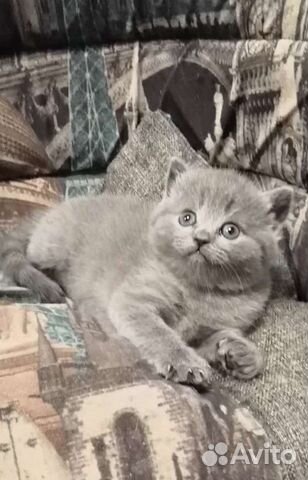 Мимимишная плюшка