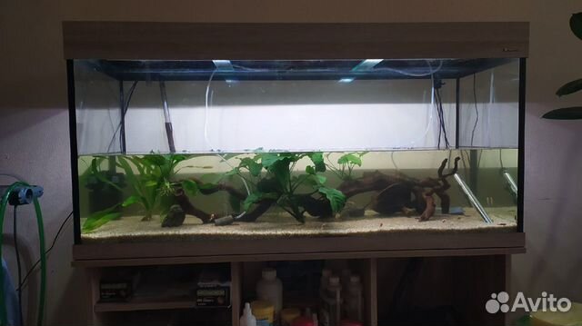 Аквариум AquaPlus п264