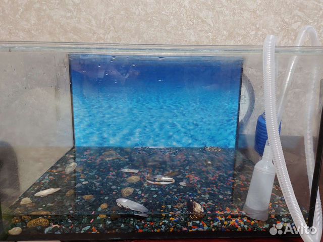Аквариум