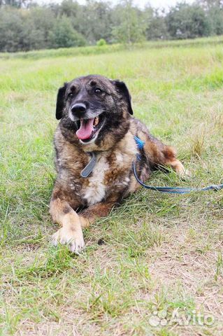 Забери Карамельку домой скоро зима