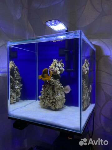 Морской аквариум