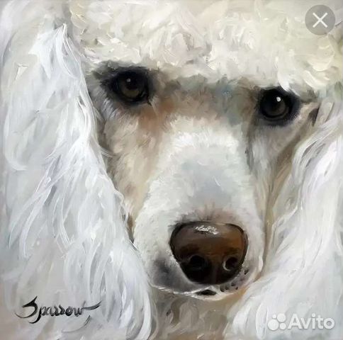 Невеста ищет жениха