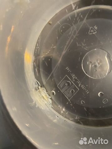 Морской аквариум бергии