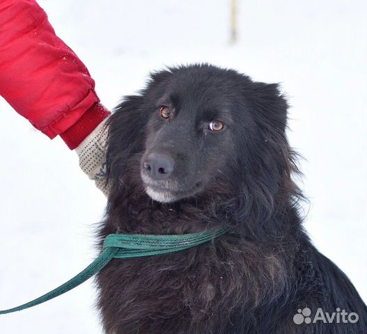 Акбар