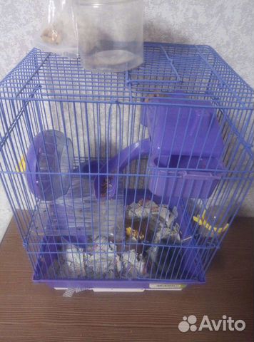 Джунгарский хомяк с клеткой