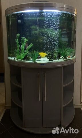 Аквариум