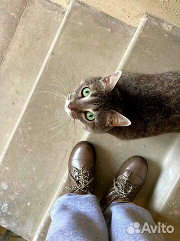 Выбросили домашнюю зайку в подъезд