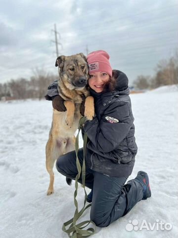 Молодой рахитный кобелек очень ищет дом