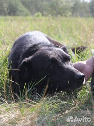Грациозная красавица Герда