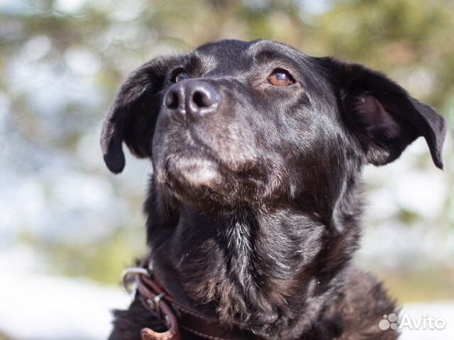 Ищем дом для особенной малышки