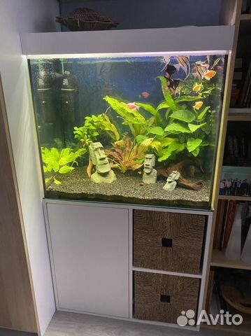 Аквариум 200 литров с тумбой