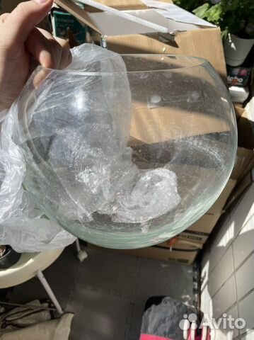 Аквариум шар флорариум