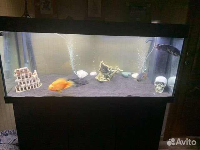 Аквариум Jewel с тумбой 240 литров