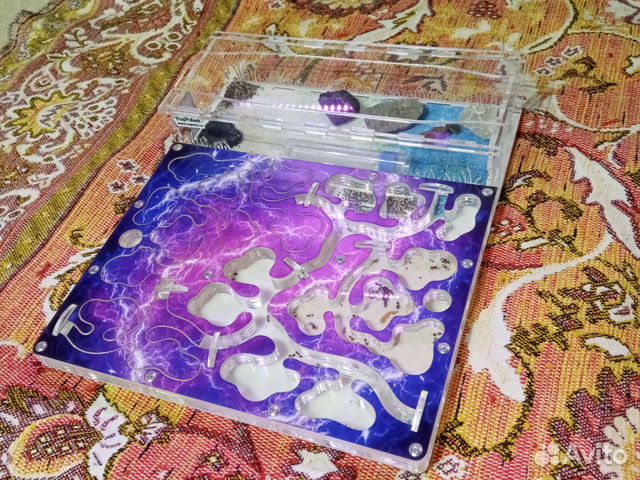 Муравьиная ферма + Муравьи жнецы