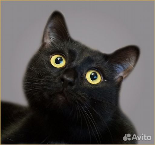 Малышка Габриэлла - красотка и умничка