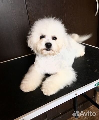 Очаровательная подрощенная девочка