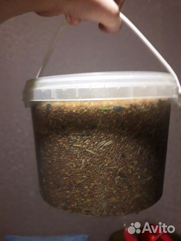 Корм для волнистых попугаев