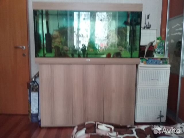 Продаю аквариум Juwel Rio 300 с тумбой