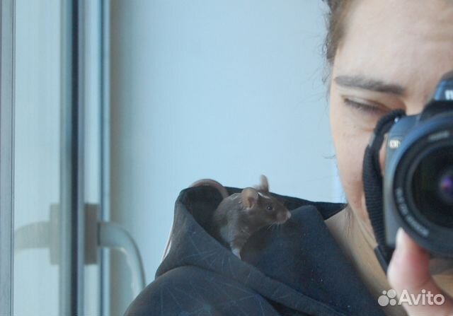 Мышки сатиновые