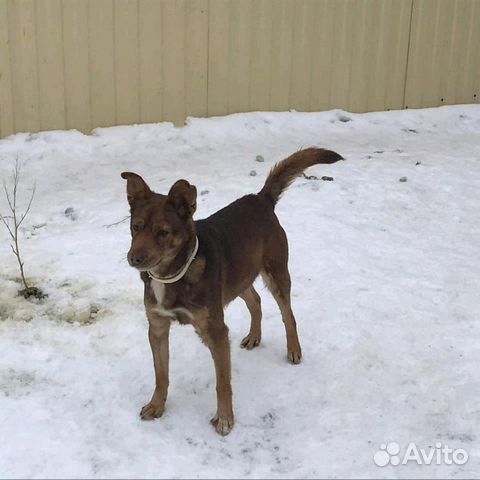 Майк ищет мамочку и папочку